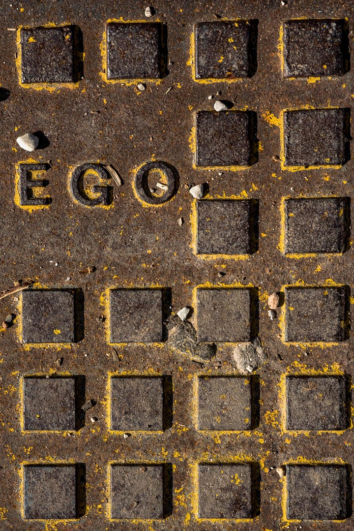 100% Of Human Life Is Programmed By The Ego - Source of All Life
